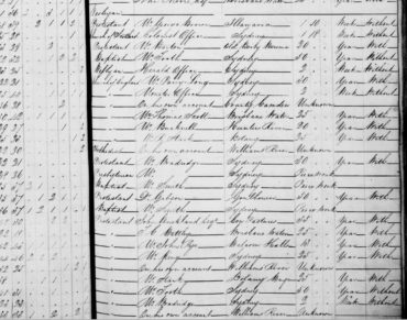 The History of the Granny Smith Apple and Granny Smith