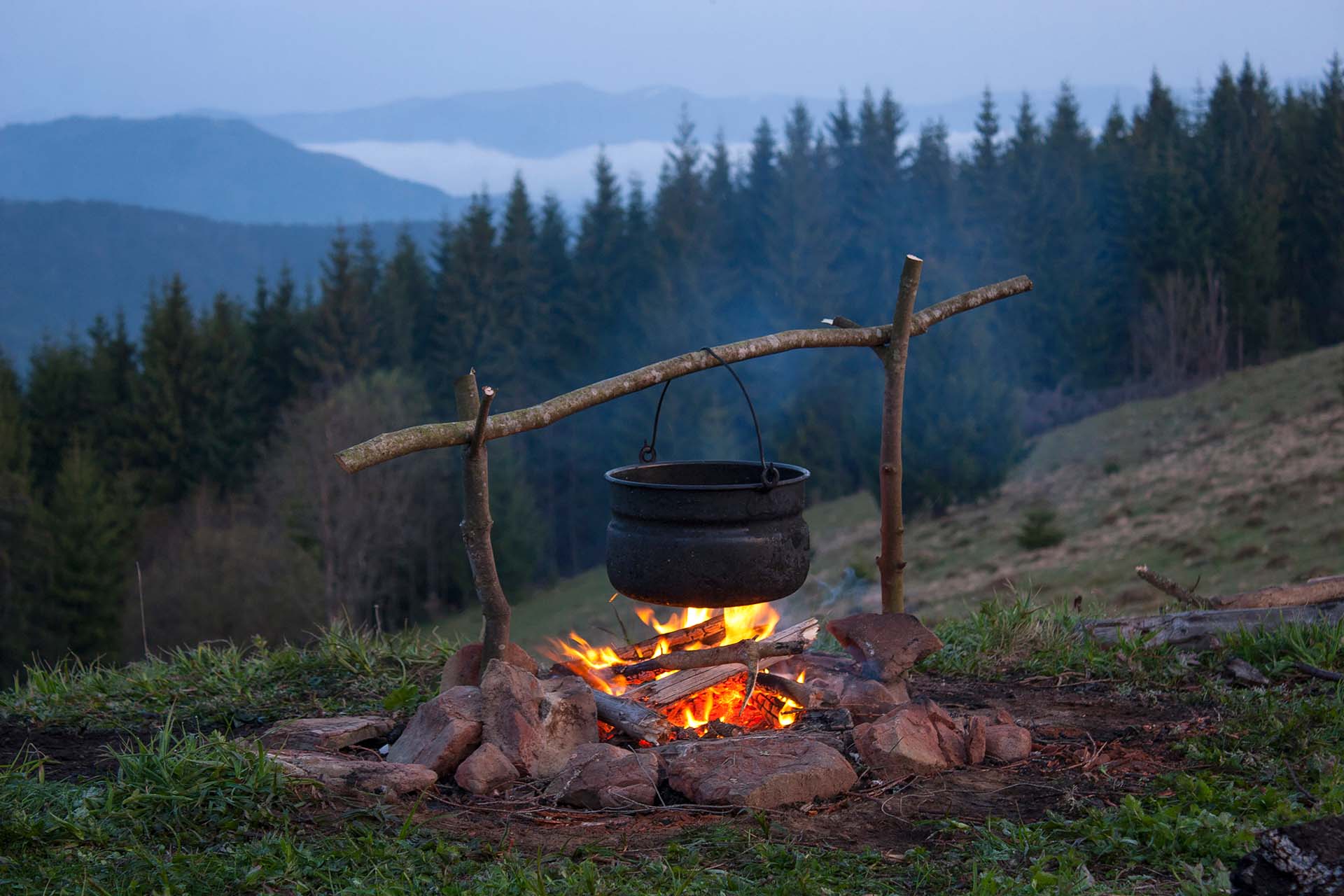 Bake like a Pro: Level up your skills with these easy tricks